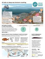 Deep Sea Graphic | Lenfest Ocean Program