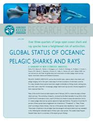 Global Status of Oceanic Pelagic Sharks and Rays | Lenfest Ocean Program