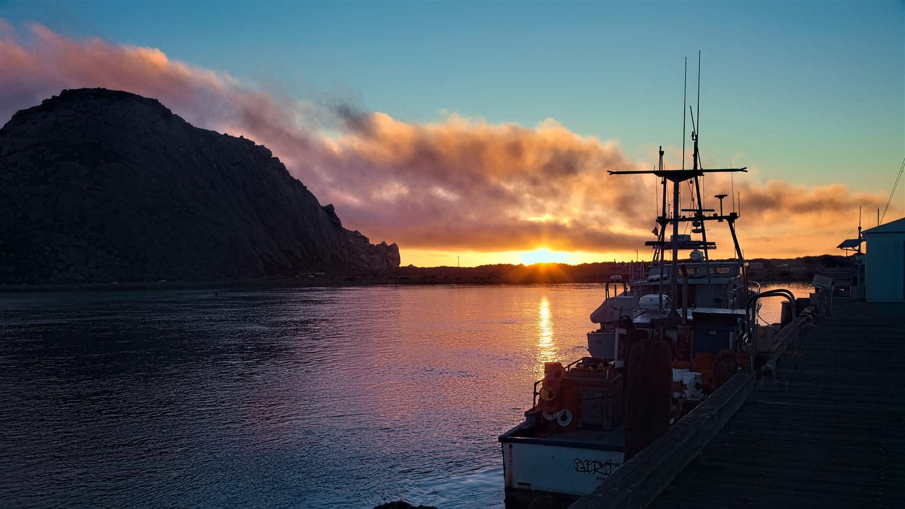 Exposure to Low pH, Hypoxia, and Anomalously Warm Temperatures Has ...