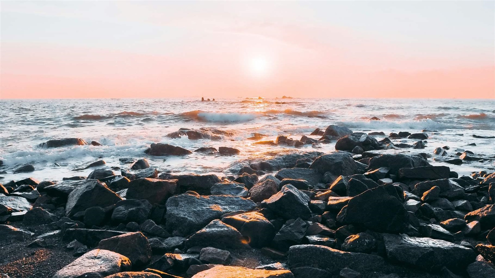 A global synthesis of climate vulnerability assessments on marine ...