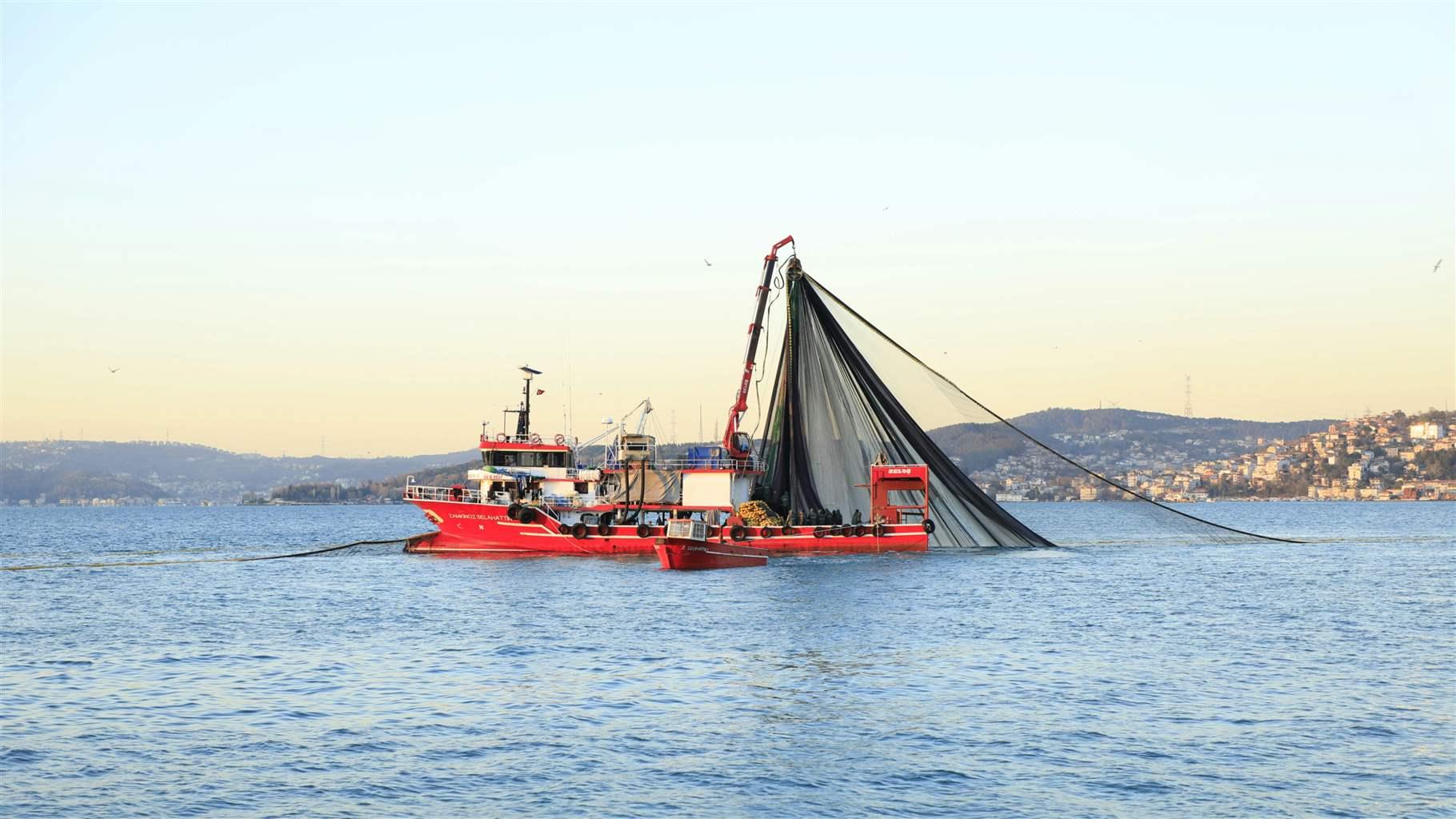 Understanding Bottlenecks in Species Movement and Climate Vulnerability ...