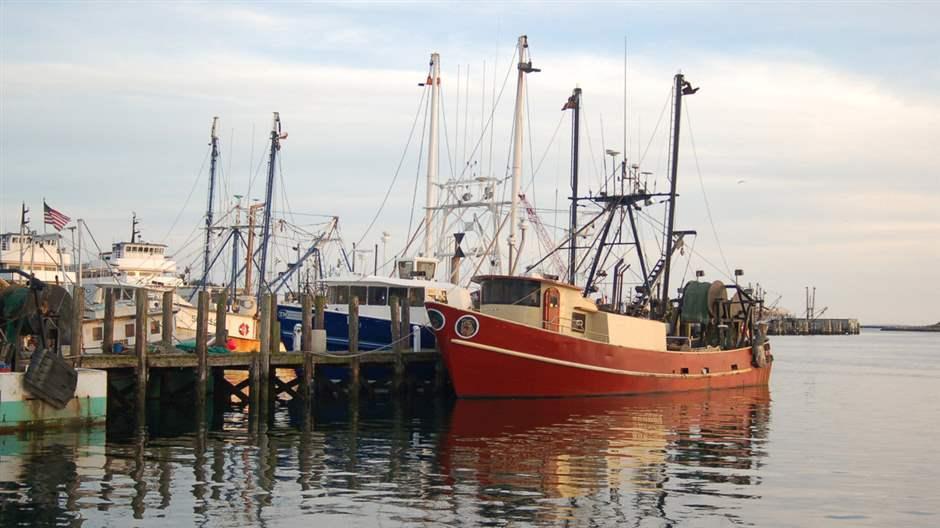 Lenfest Fishery Ecosystem Task Force | Lenfest Ocean Program
