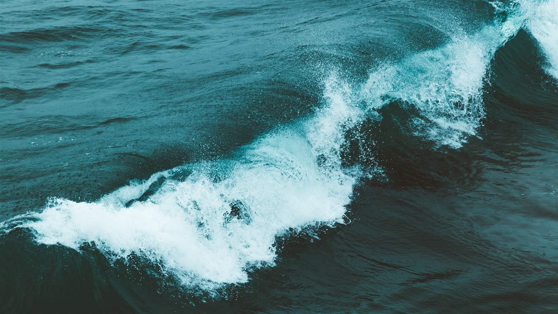 Workshop to Identify Research Priorities for Shifting Marine Species ...