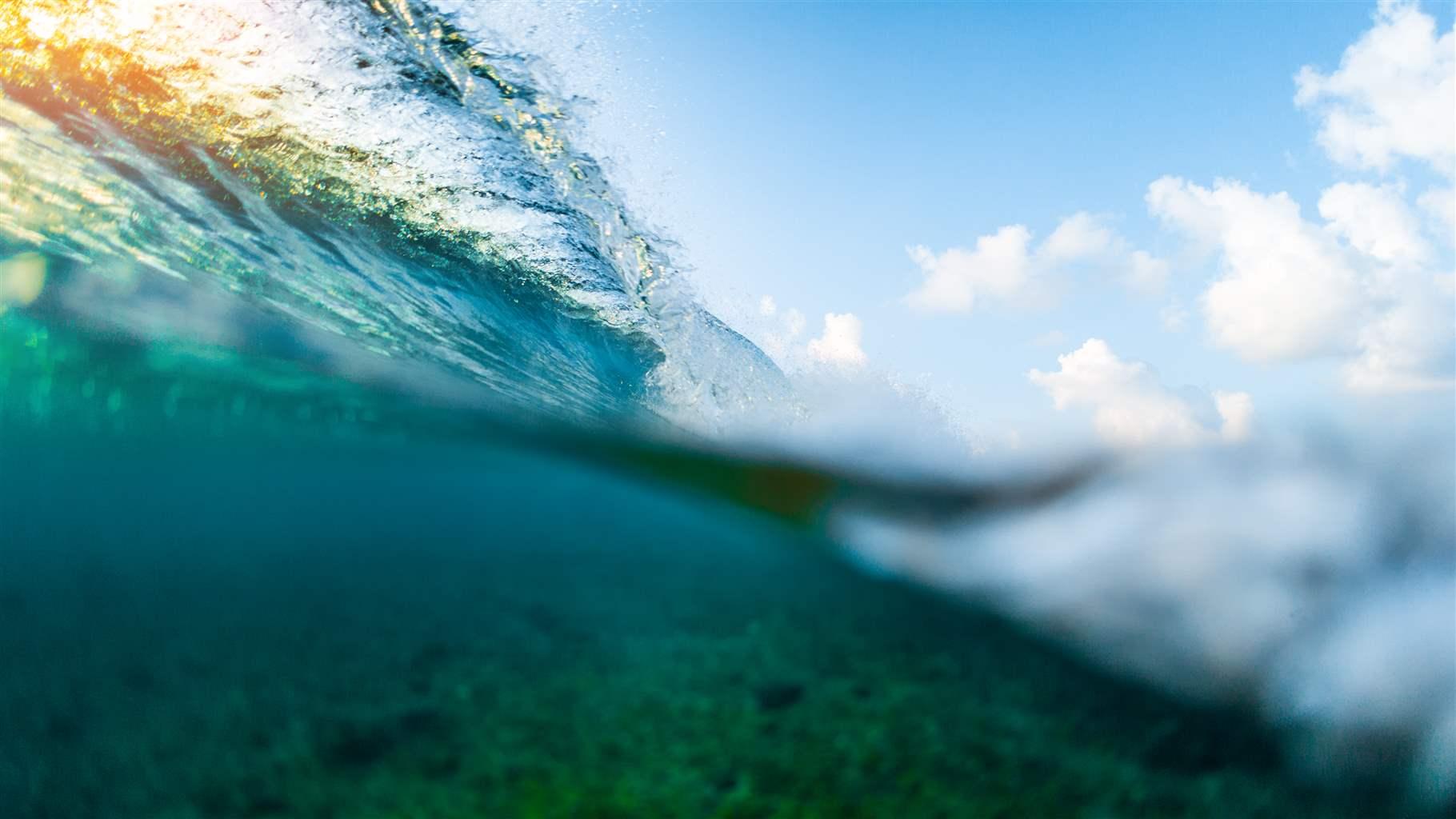 Lenfest Ocean Program | Lenfest Ocean Program