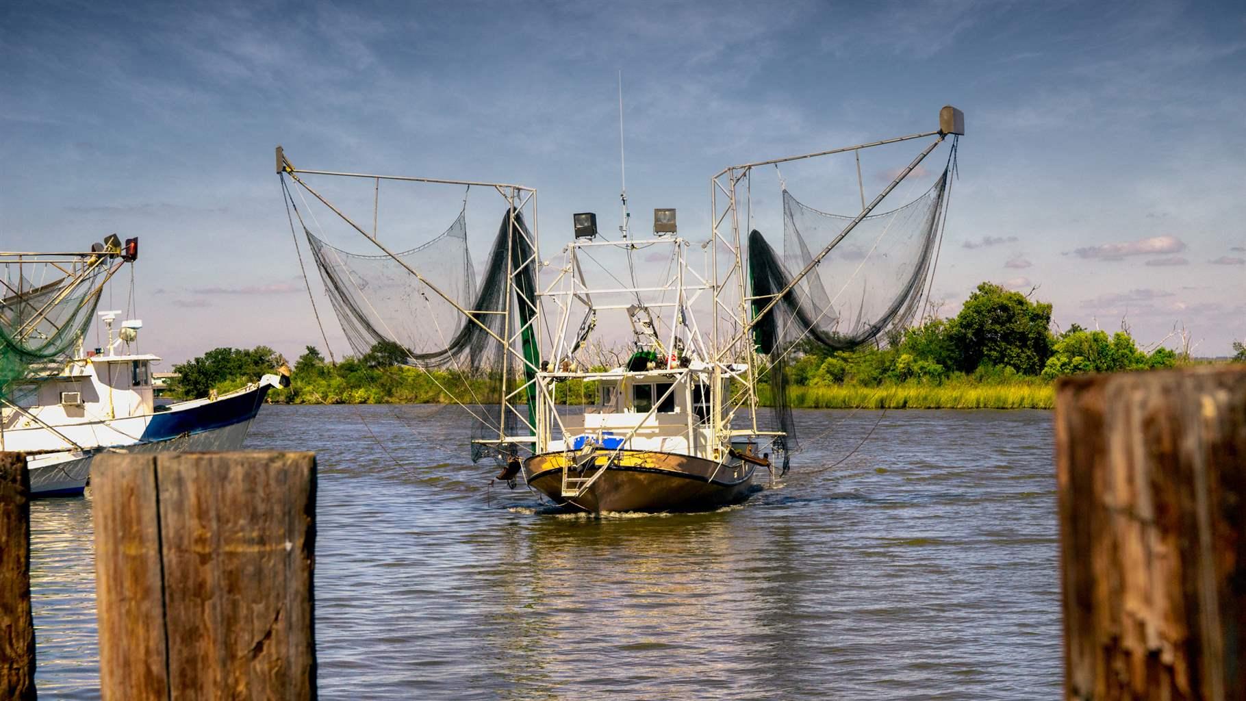 New Research to Apply Empirical Dynamic Modeling to Fisheries ...