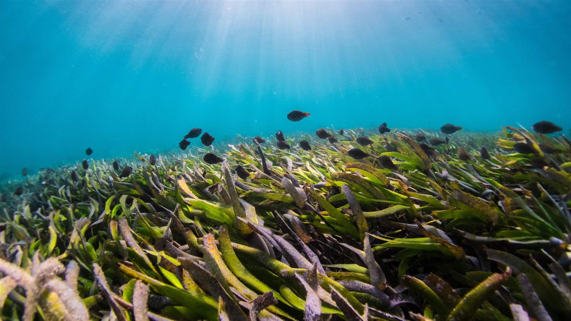 Evidence Informed Decision-Making Doesn’t Start with Science—It Starts ...