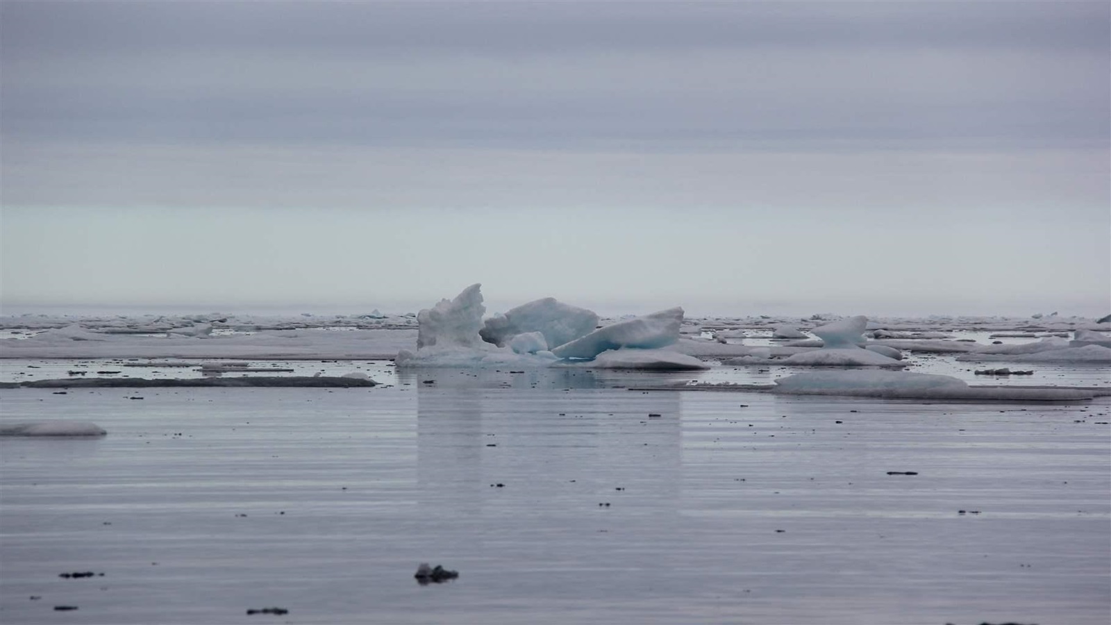 Indigenous Knowledge habitat models of bearded seals (ugruk; Erignathus ...