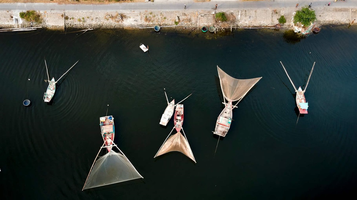 Resources For Using Ecosystem Indicators In Practical Ecosystem Based